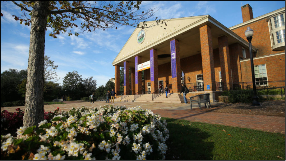 The Facts of Furman - Studyville